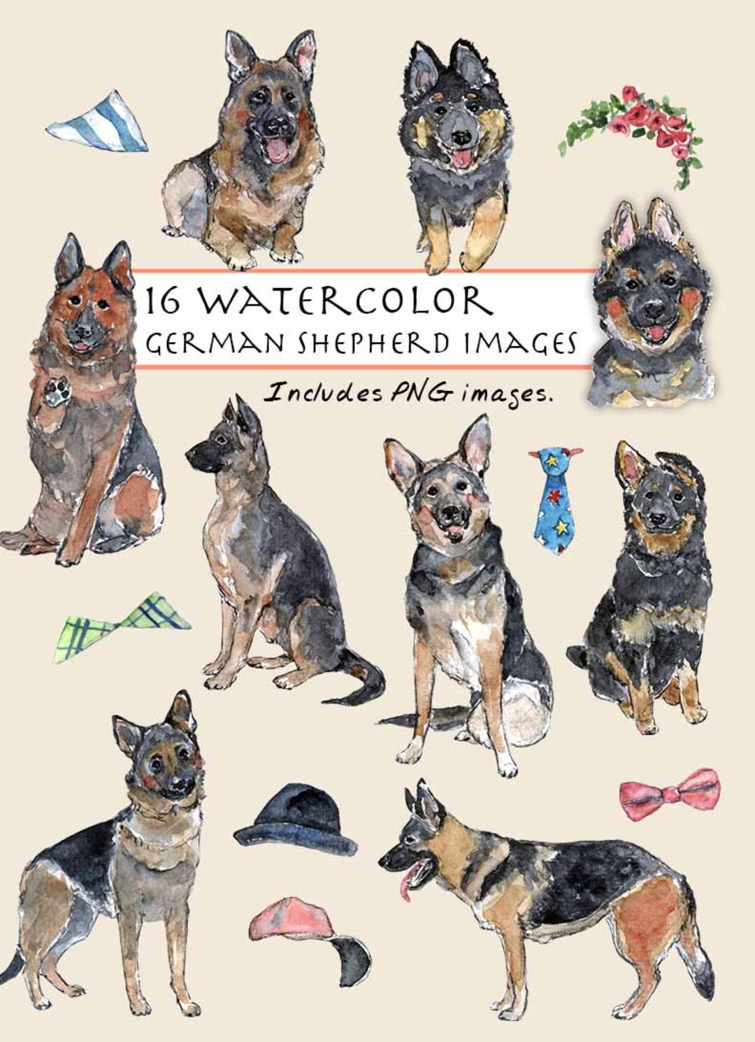 CLIP ART- Watercolor German Shepherd Set. 16 Images. Digital Download ...