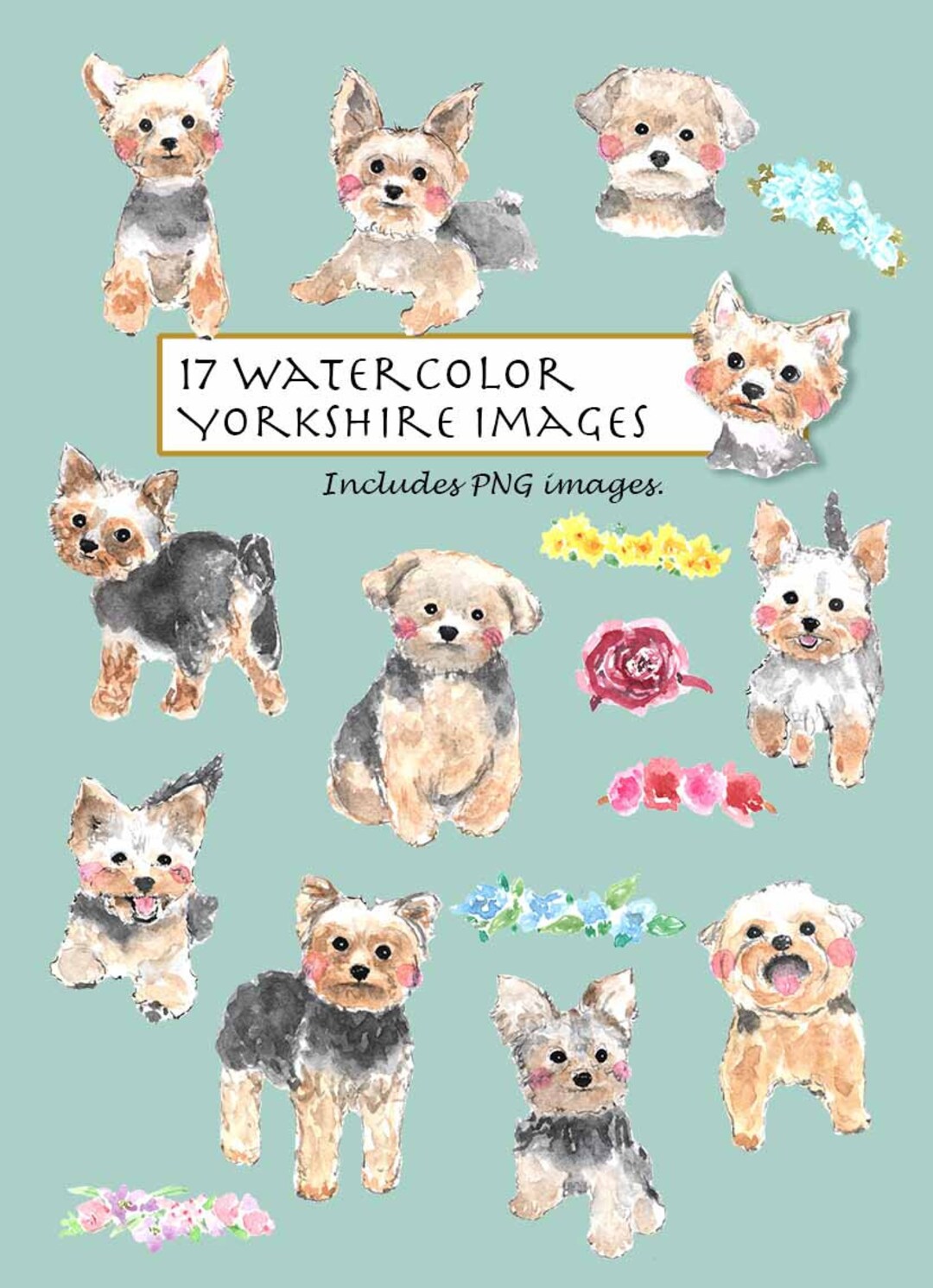 CLIP ART- Watercolor Yorkshire Terrier Set. 17 Images. Digital Download ...