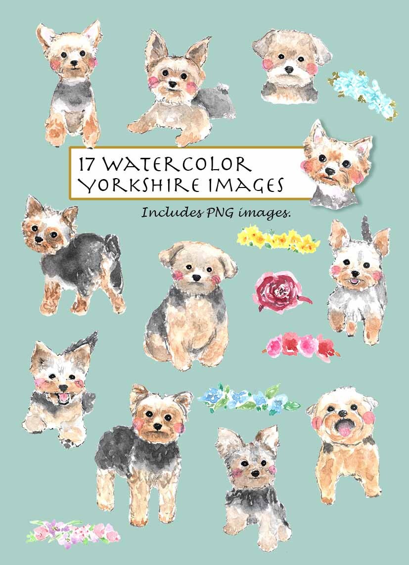 CLIP ART- Watercolor Yorkshire Terrier Set. 17 Images. Digital Download ...