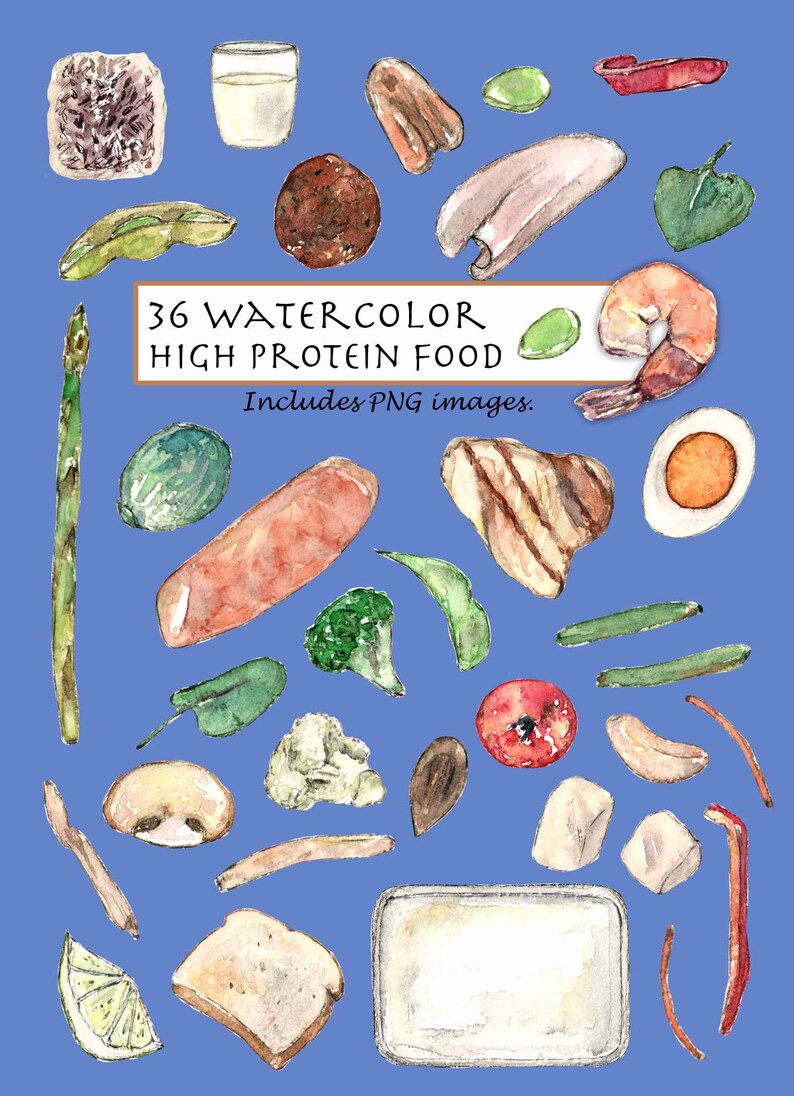 CLIP ART- Watercolor High Protein Food Set. 36 Images. Digital Download ...