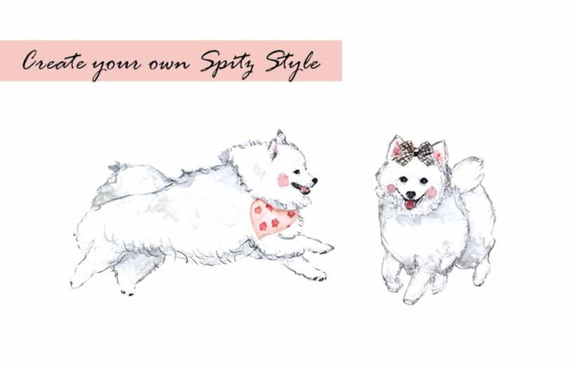 CLIP ART- Watercolor Japanese Spitz Set. 16 Images. Digital Download ...