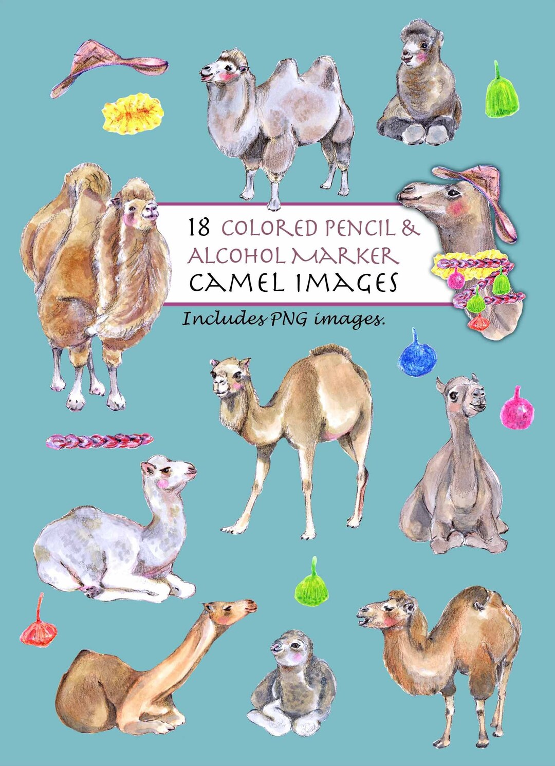 CLIP ART- Camel Set. 18 Images. Digital Download. Wild Animal. Wildlife ...