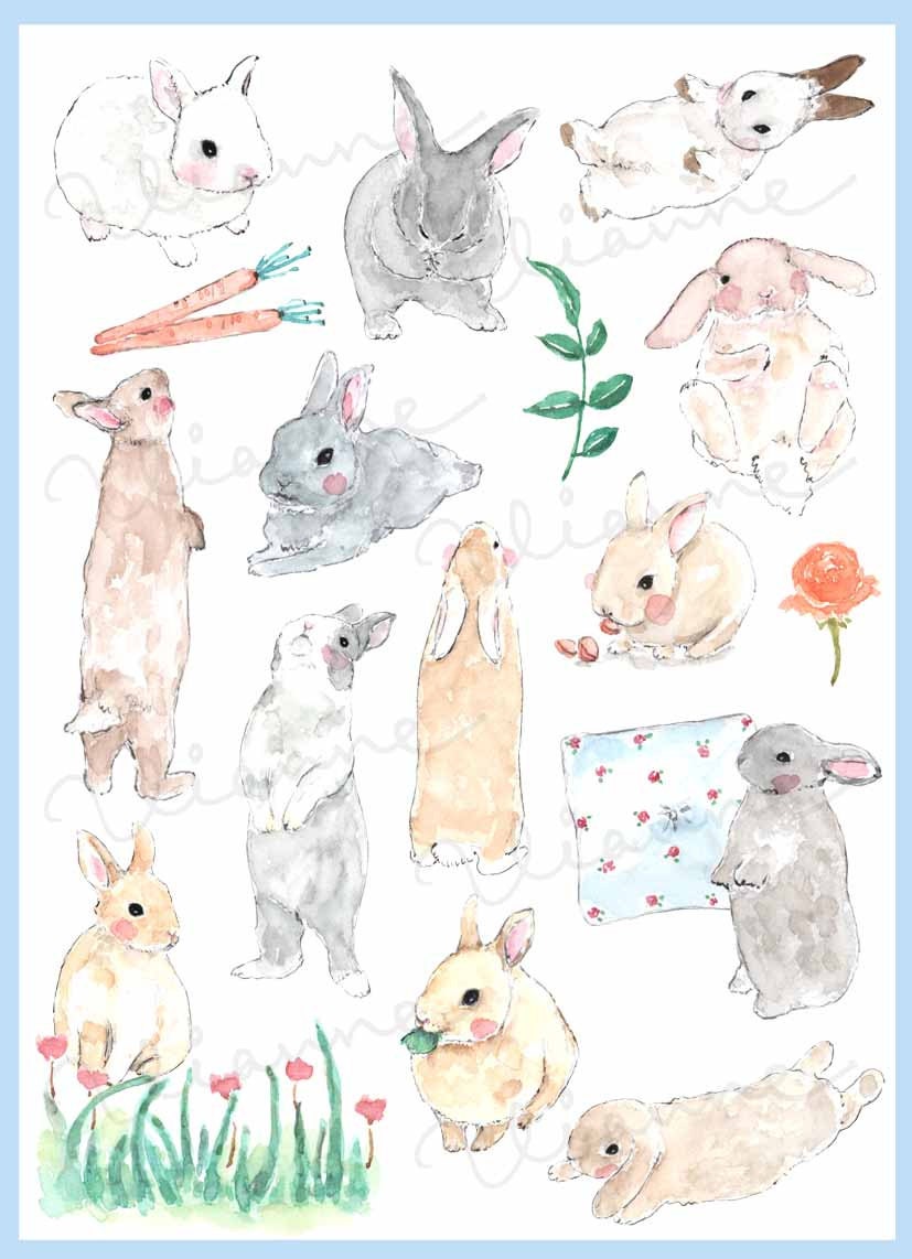 Watercolor Bunny Clipart Set – 18 Cute Rabbit Images (digital Download ...