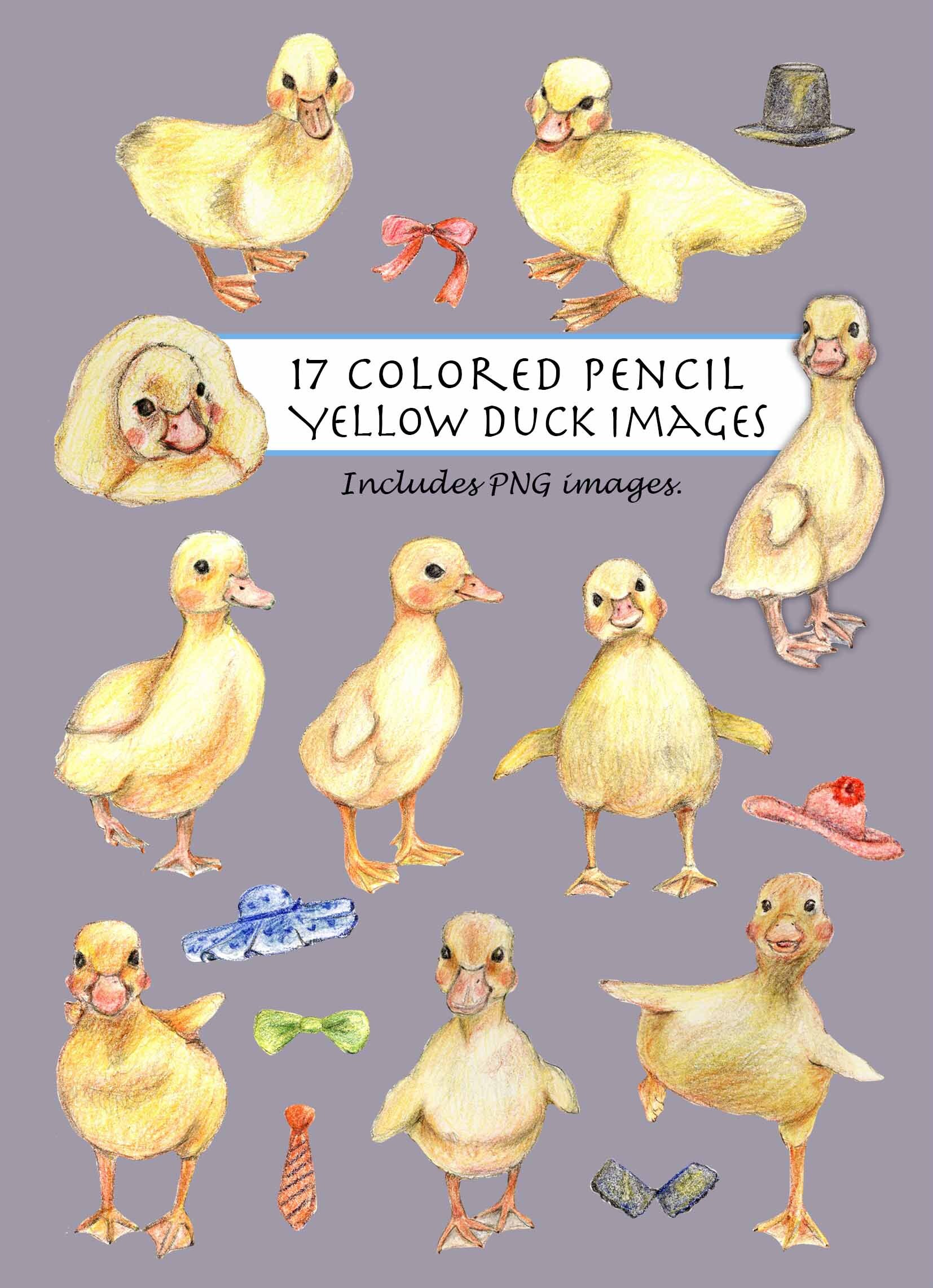CLIP ART Colored Pencil Yellow Ducks Set. 17 Images. Digital Download ...