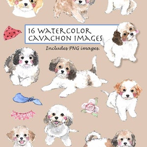 CLIP ART- Watercolor Cavachon Set. 16 Images. Digital Download. - Etsy