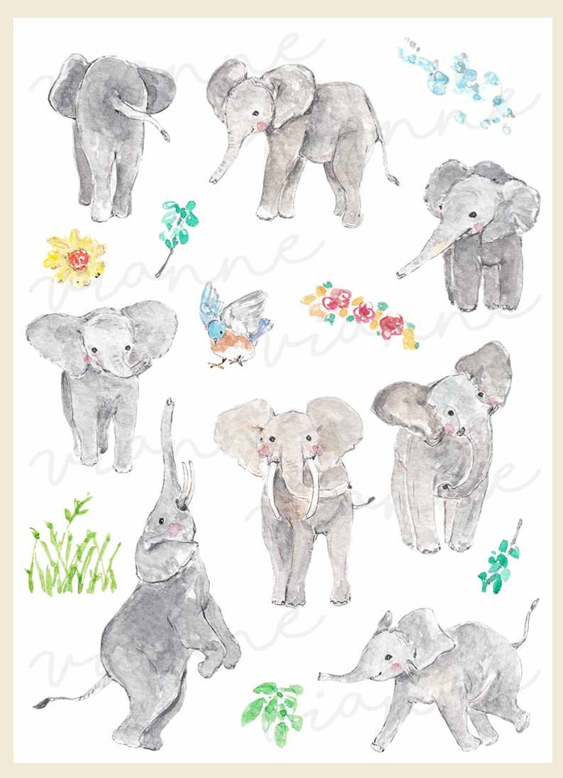 CLIP ART Watercolor Elephant Set. 16 Images. Digital Download. Animals ...