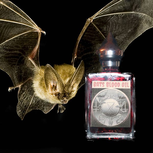 Bats Blood - Etsy