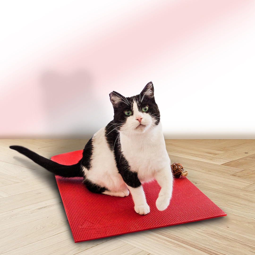 Red Yoga Mat for Cats, Cat Yoga Mat, Scratcher, Lounger, Toy for Cats ...