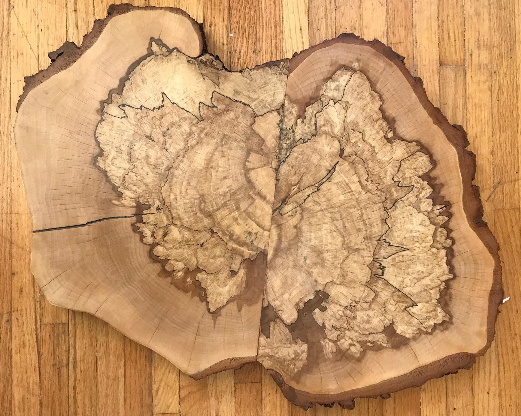 Live Edge Coffee Table of Spalted Maple Slab Wood Live Edge - Etsy