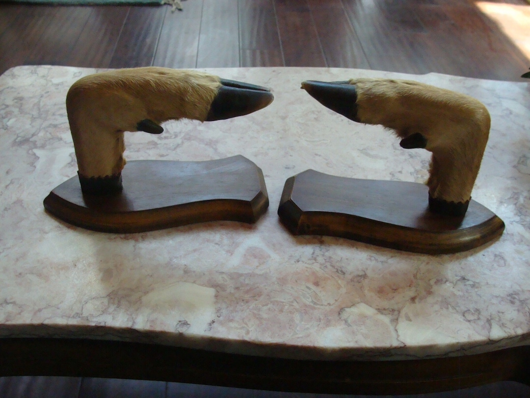 Pair of Taxidermy DEER Hooves / Feet Mounted Wood Plaques Gun Rack ...