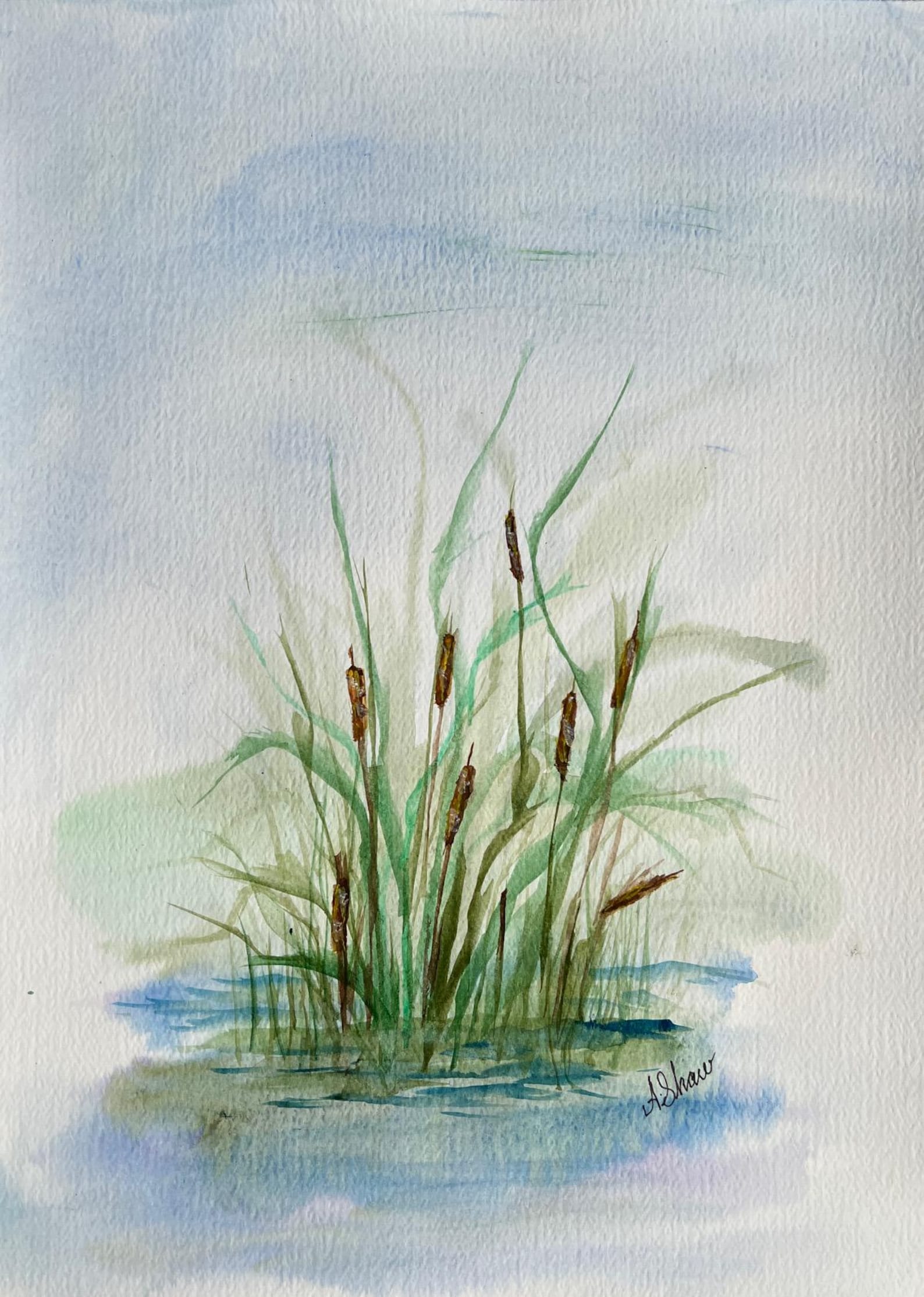 Cattails, Marsh Weeds, Watercolor, Painting, Landscape, Original ...