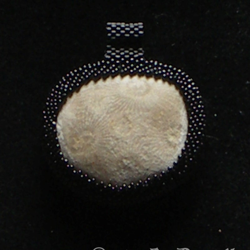Circular Peyote - Etsy