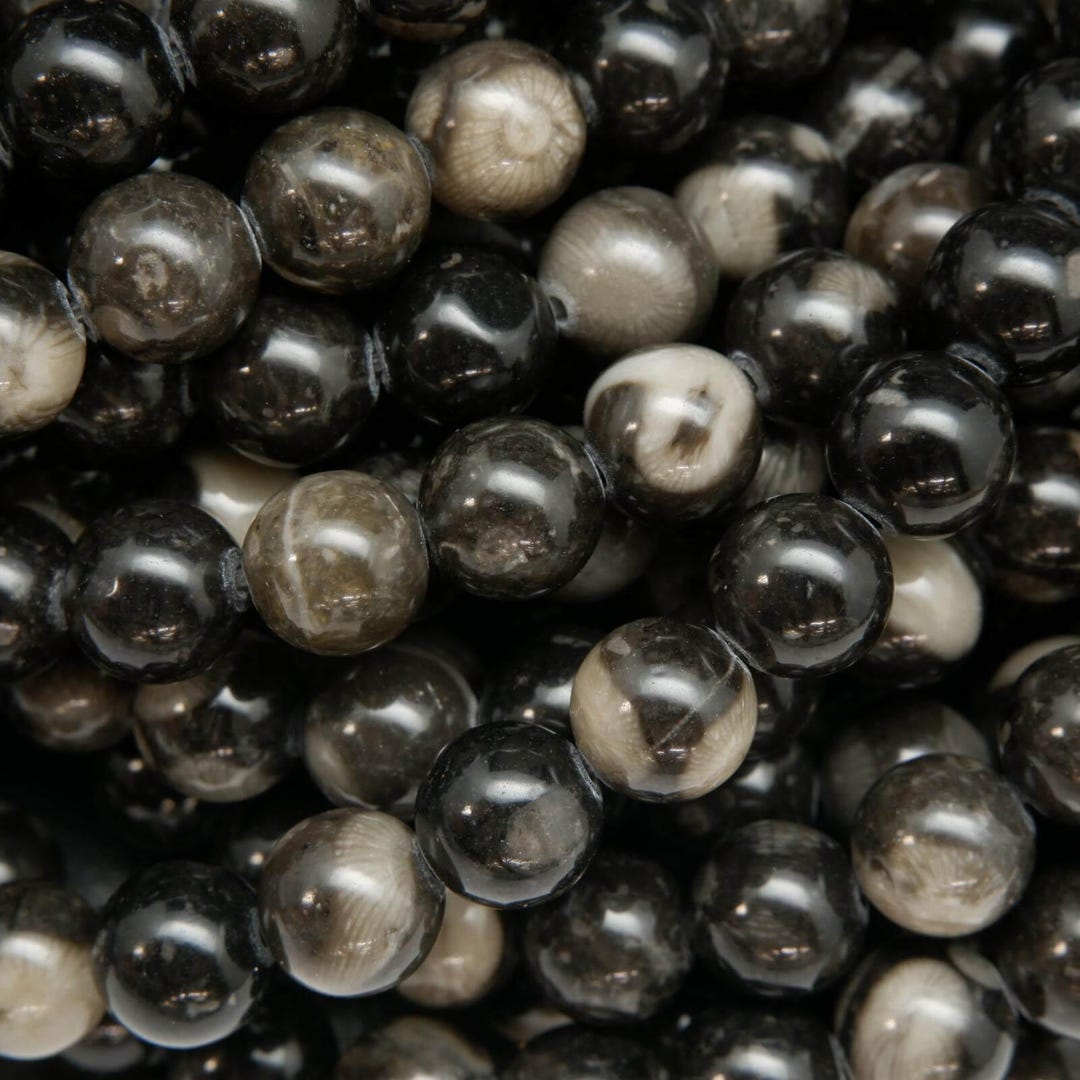 Orthoceras Fossil · Smooth · Round · 8mm, 10mm **CLEARANCE** - Etsy