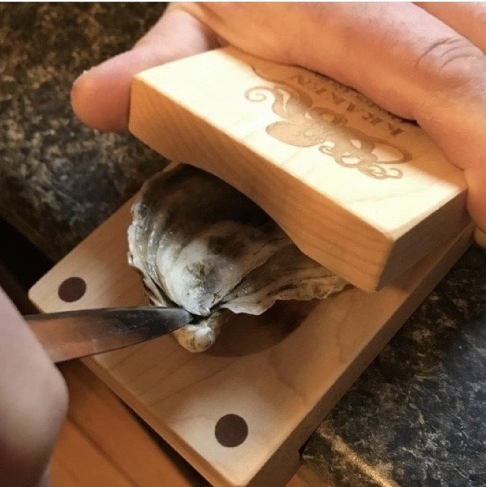 KRAKEN Oyster Grip Shuck Tool Clamp Wedge Wood Maple Maine Shucker ...