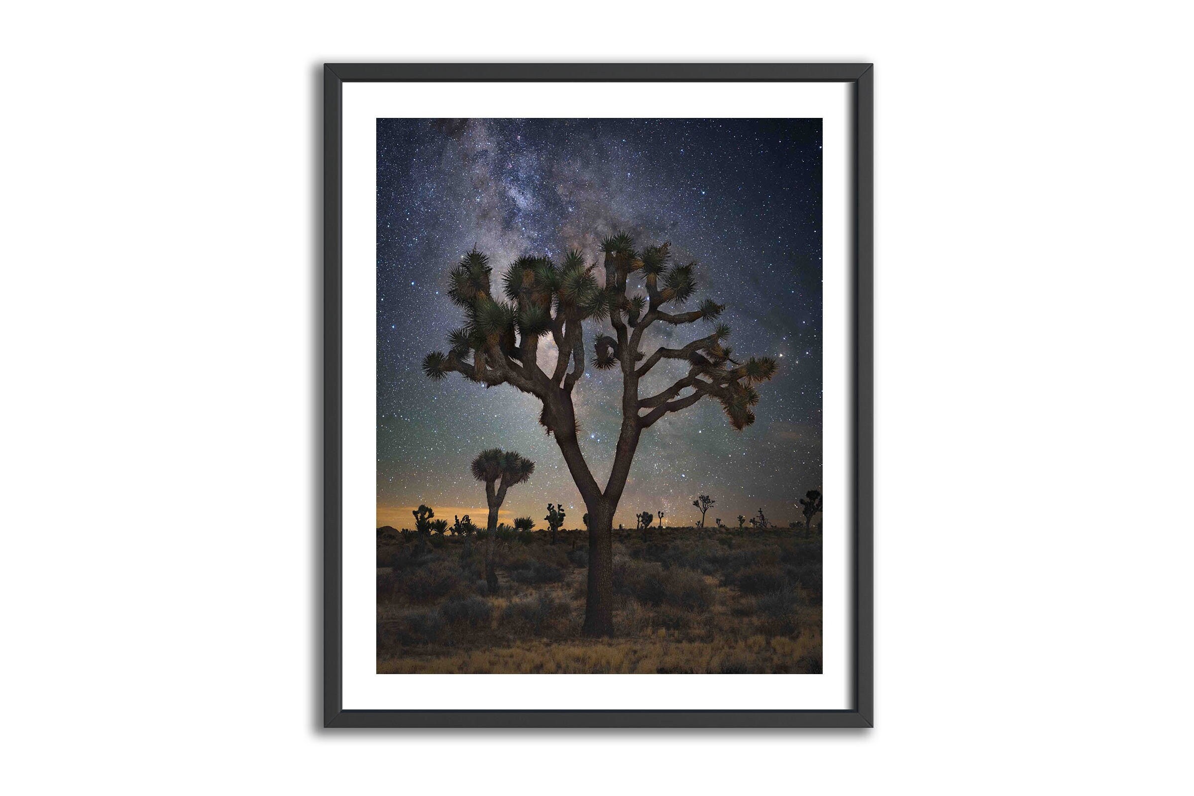 Joshua Tree Milky Way Digital Download, Print Yourself and Save, Fine ...