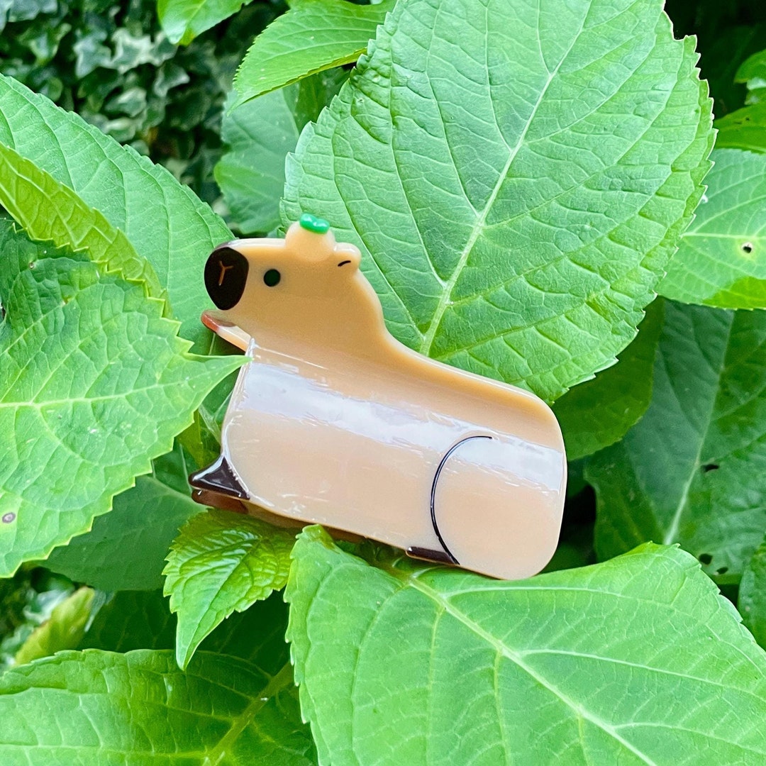 Capybara Hair Claw - Etsy