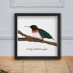 The Ruby Throat Hummingbird Digital Art Framed Photo Paper Poster - Etsy