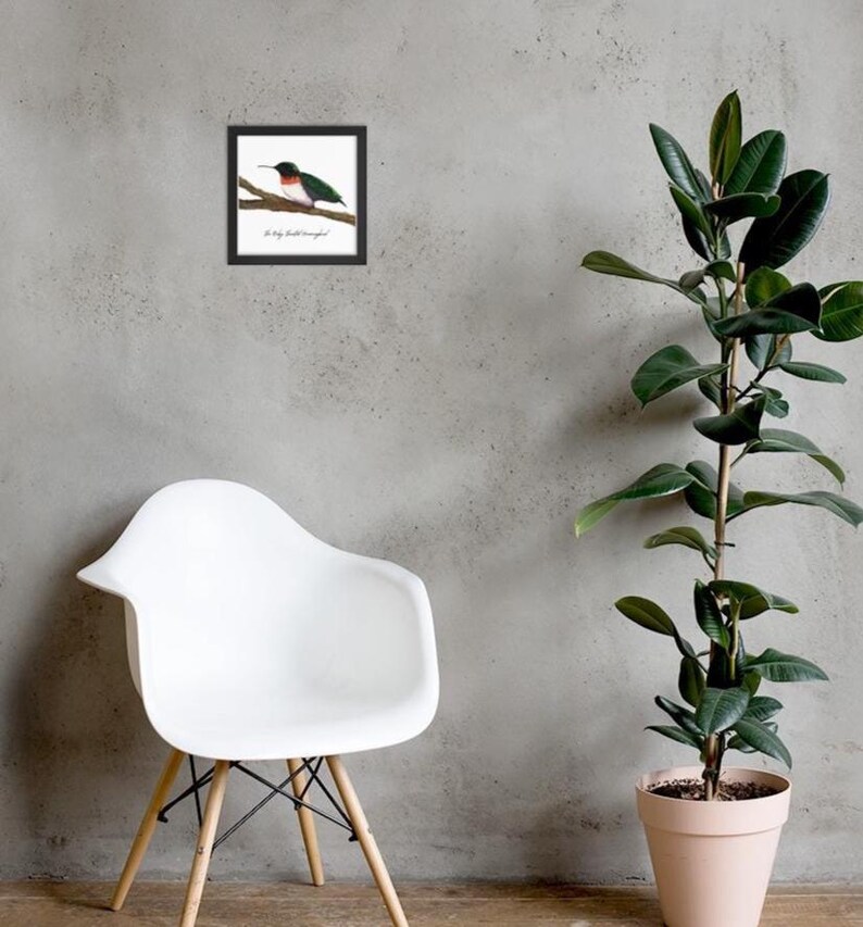 The Ruby Throat Hummingbird Digital Art Framed Photo Paper Poster - Etsy