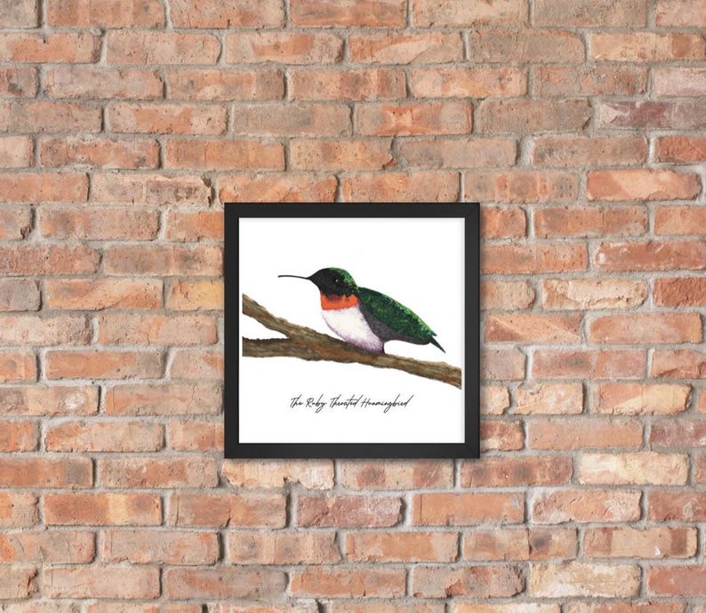 The Ruby Throat Hummingbird Digital Art Framed Photo Paper Poster - Etsy