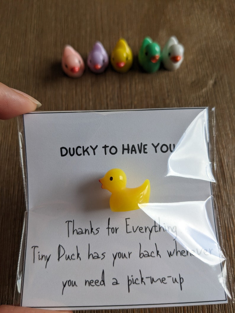 Ducky to Have You Card & Mini Rubber Duck Gift Set: Encouragement Gift ...