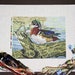 Wood Duck Needlepoint Kit, Waterfowl Needlepoint Kits, Needlepoint ...