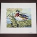 Wood Duck Needlepoint Kit, Waterfowl Needlepoint Kits, Needlepoint ...
