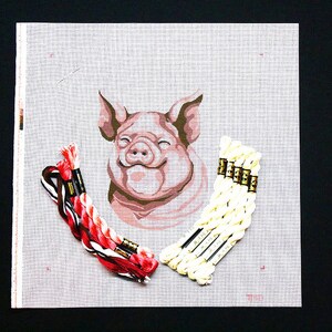 Needlepoint Kits, Pig Needlepoint, Needlepoint Pig Kit, Painted ...