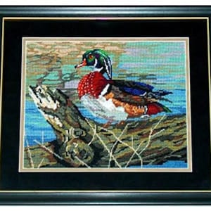 Wood Duck Needlepoint Kit, Waterfowl Needlepoint Kits, Needlepoint ...