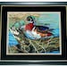 Wood Duck Needlepoint Kit, Waterfowl Needlepoint Kits, Needlepoint ...