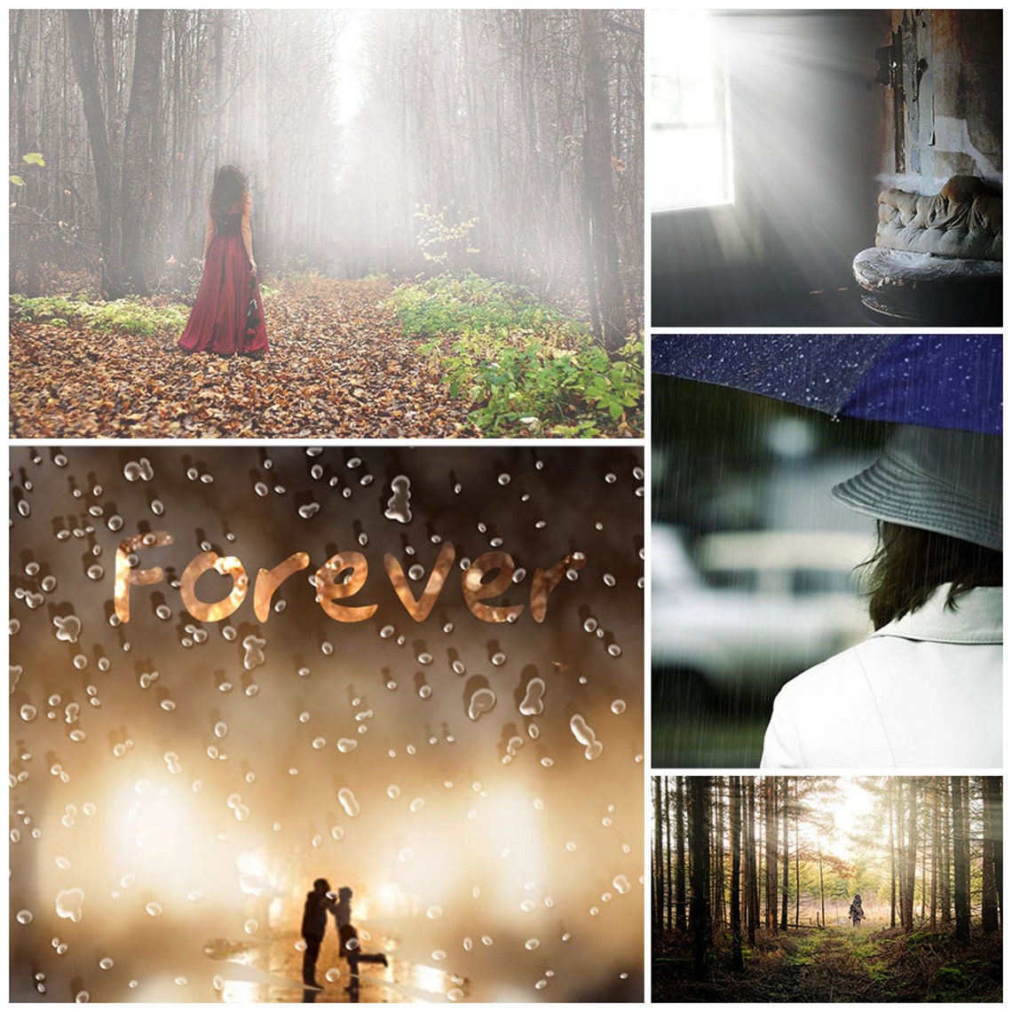 Enchanted Mist Overlays & Photoshop Actions 36 Overlays - Etsy