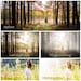 Enchanted Mist Overlays & Photoshop Actions 36 Overlays - Etsy
