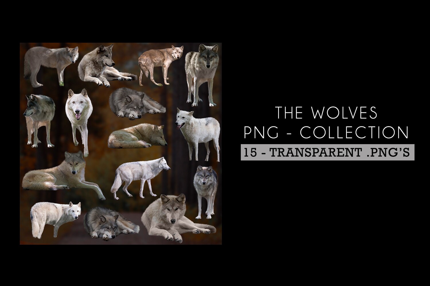 15 PNG Wolves Collection | Etsy