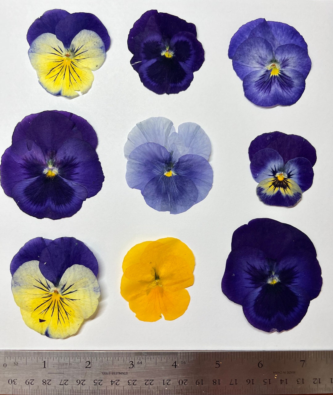 Organic Pressed Edible Flowers, 10 Large Pansies - Etsy