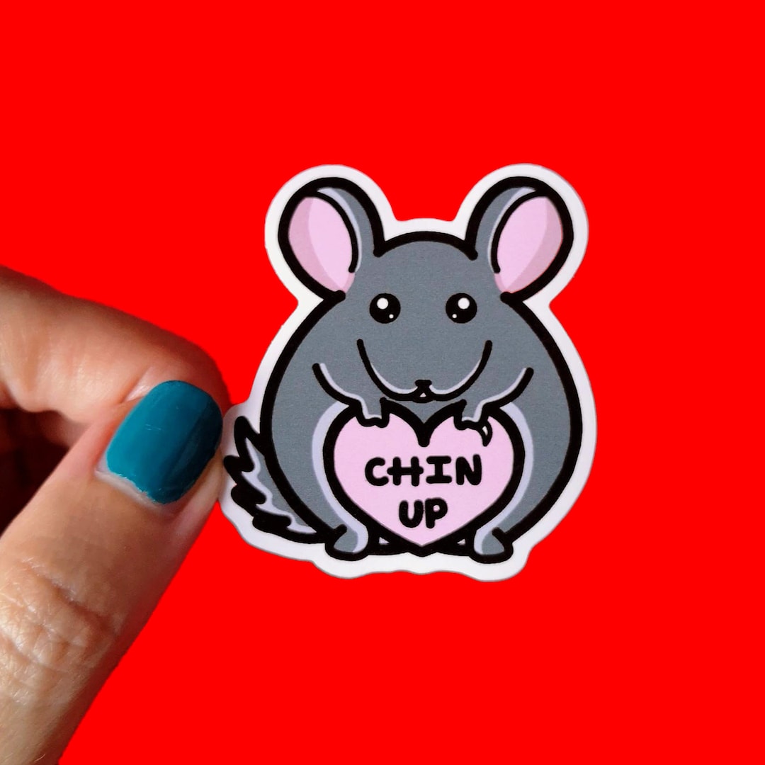 Chin up Sticker Vinyl Sticker Cute Sticker Chinchilla Sticker Send a ...