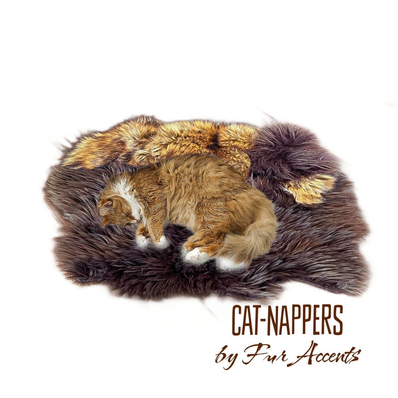 Catnap Plush - Etsy