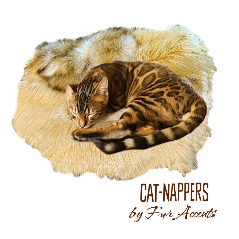 Catnap Plush - Etsy