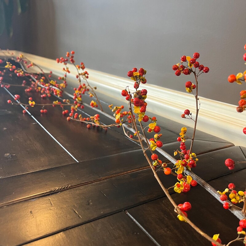 Bittersweet Garland - Etsy