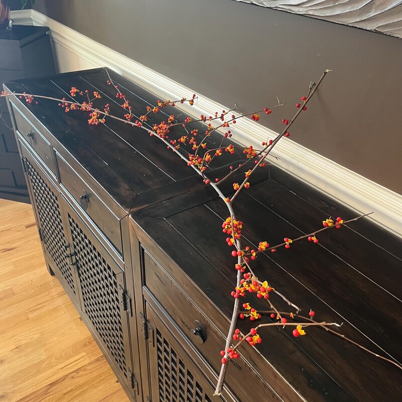 Bittersweet Garland - Etsy