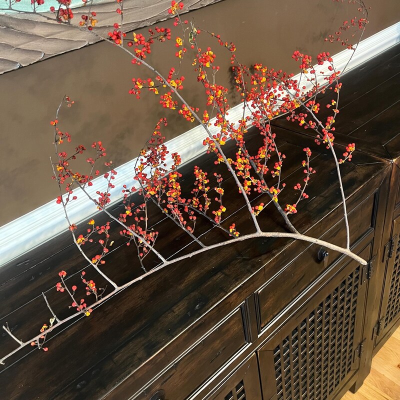 Bittersweet Garland - Etsy