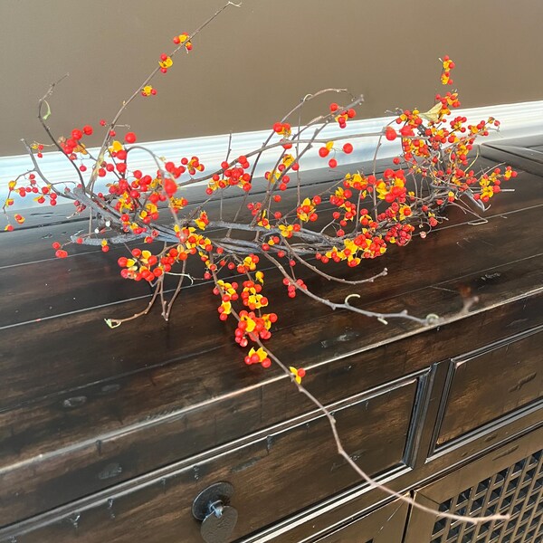 Bittersweet Garland - Etsy