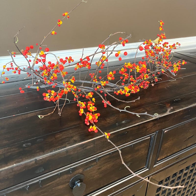 Bittersweet Garland - Etsy