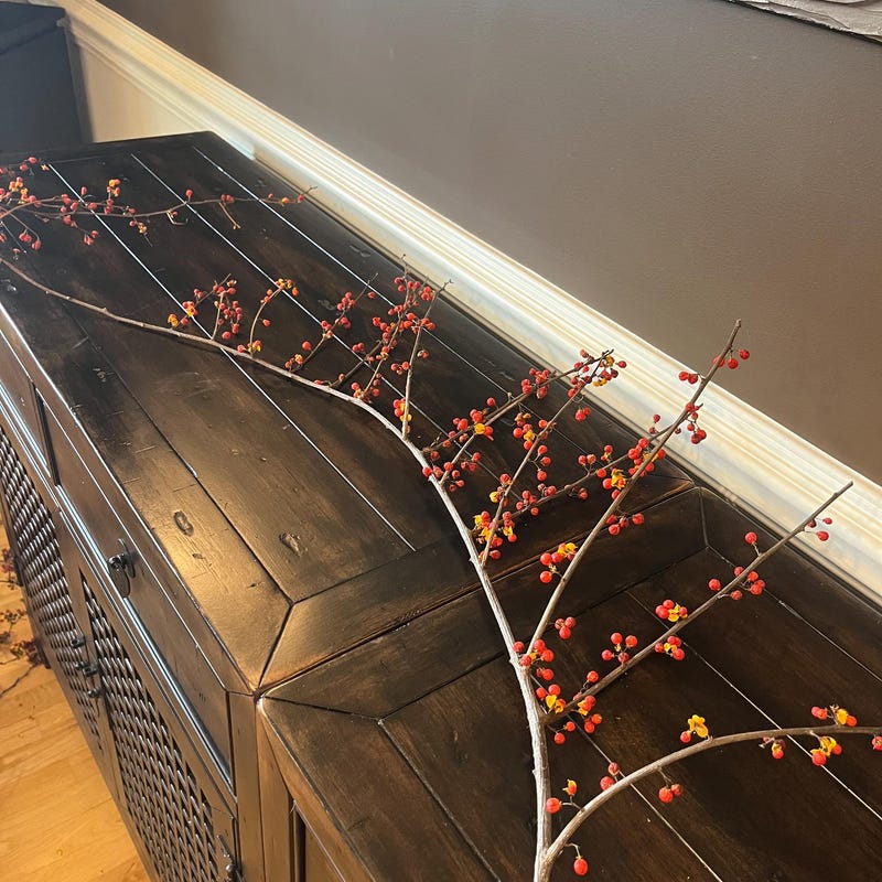 Bittersweet Garland - Etsy