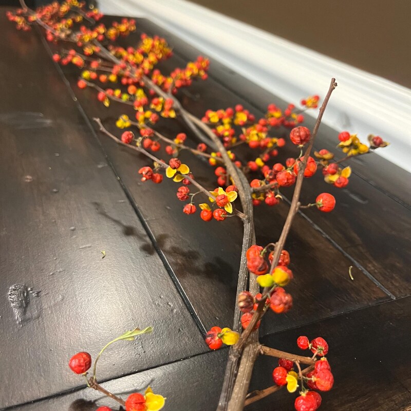 Bittersweet Garland - Etsy