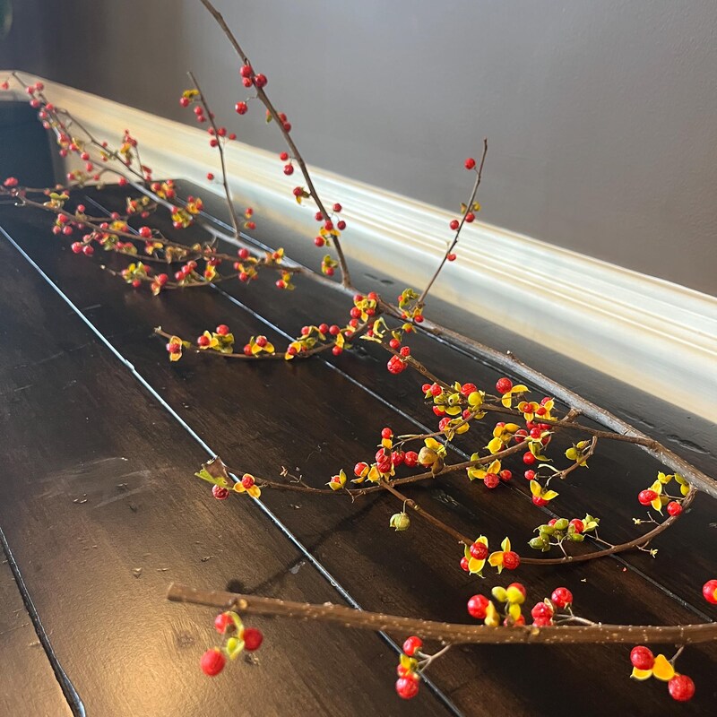 Bittersweet Garland - Etsy