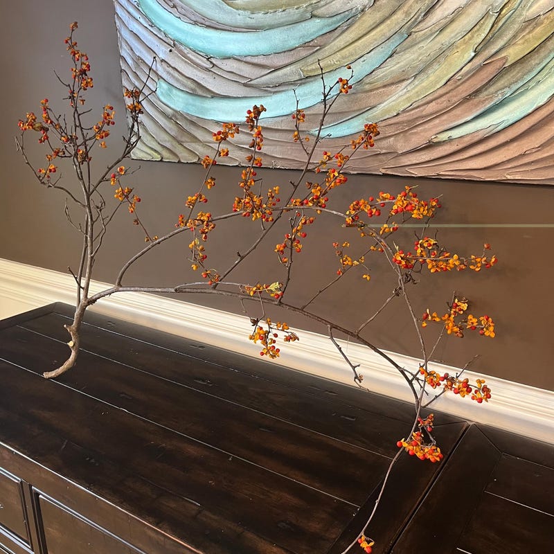 Bittersweet Garland - Etsy