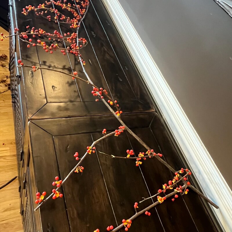 Bittersweet Garland - Etsy