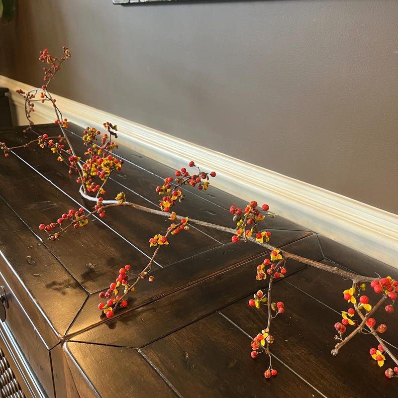 Bittersweet Garland - Etsy