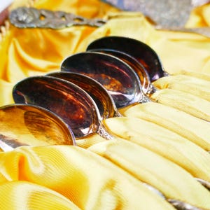 Vintage Hildesheimer Rose 17 Pc Serving ANTIKO 100 Silverplate GERMANY ...