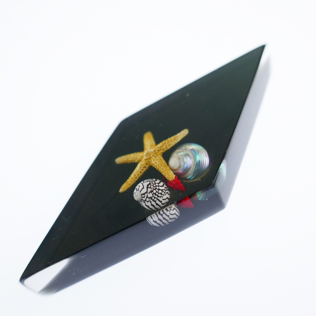 Vintage Plastic Diamond Shape Black & Clear Tropical Shell Starfish ...
