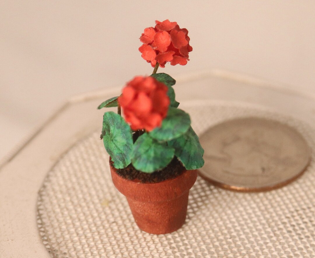 Geraniums in 1/12th Scale. - Etsy
